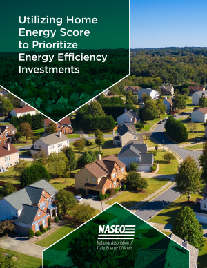 Publications | NASEO